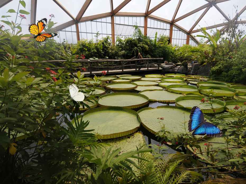 Diergaarde Blijdorp | De leukste kinderuitjes | KinderSpeelPret