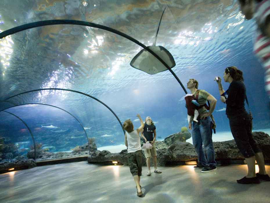 Diergaarde Blijdorp | De leukste kinderuitjes | KinderSpeelPret