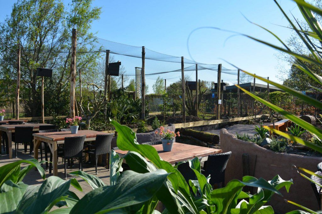 Almere Jungle Dierenpark | De leukste kinderuitjes | KinderSpeelPret