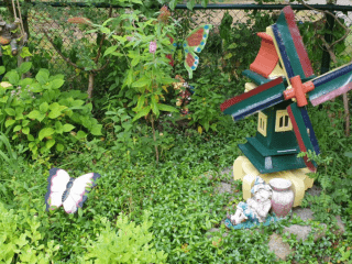 Bospark Bakel, kabouterbos | De leukste kinderuitjes | KinderSpeelPret
