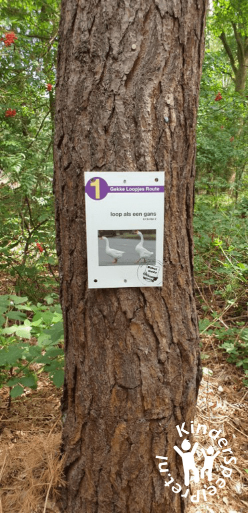 Bospark Bakel, kabouterbos | De leukste kinderuitjes | KinderSpeelPret